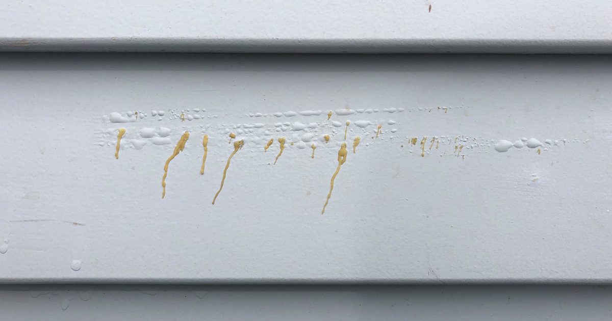 Resin Bleed - A Major Issue for Exterior Timbers - Abodo Wood