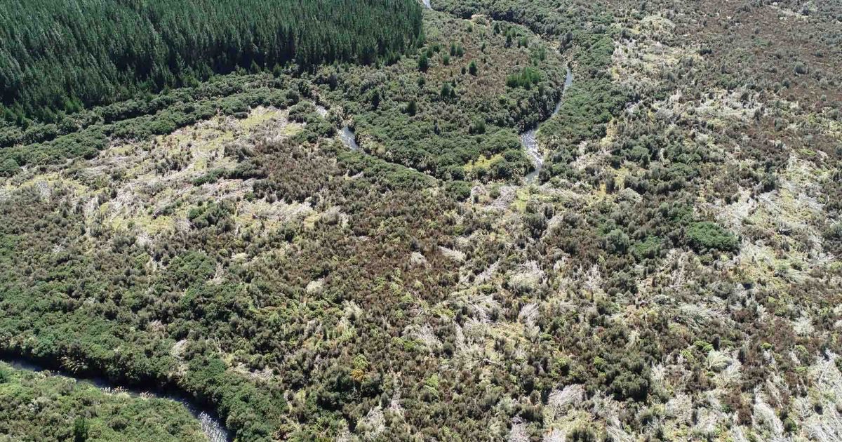 The Importance of Good Forest Management