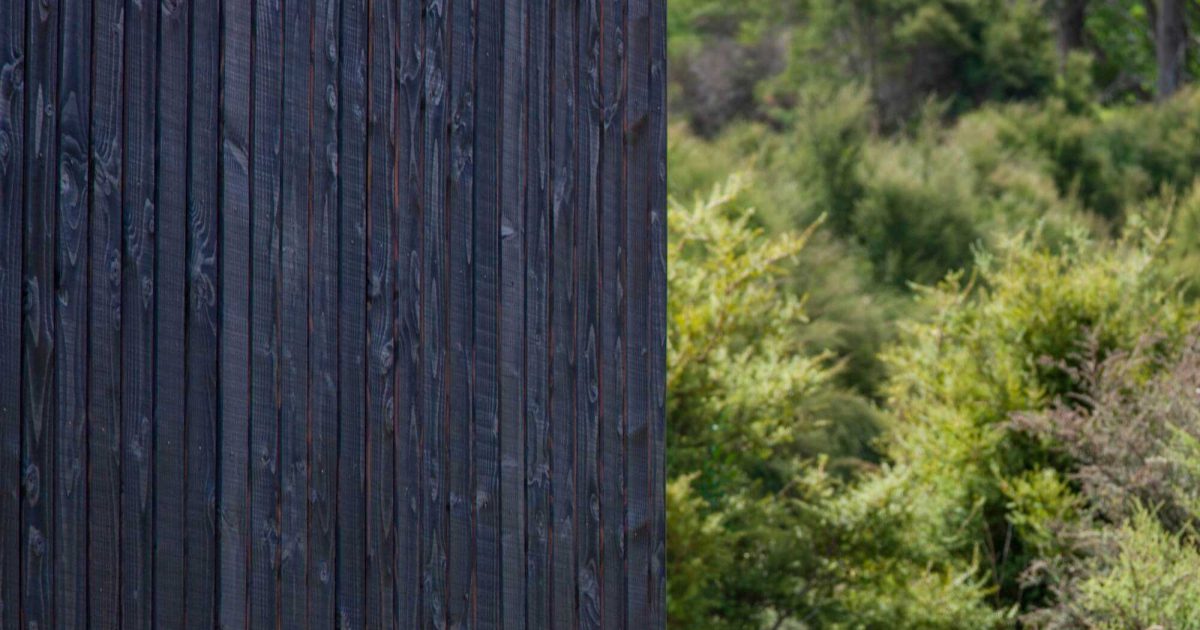 Siberian Larch Cladding and Weatherboards in the NZ Context