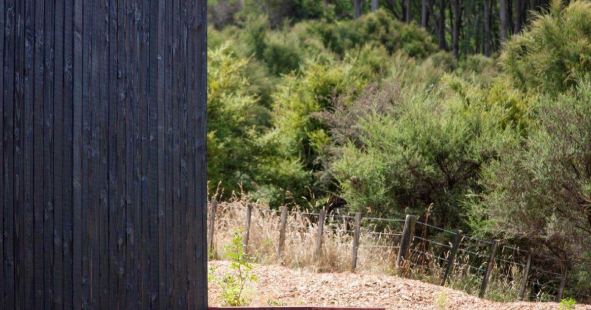 Tundra: Naturally Durable Cladding - Abodo Wood