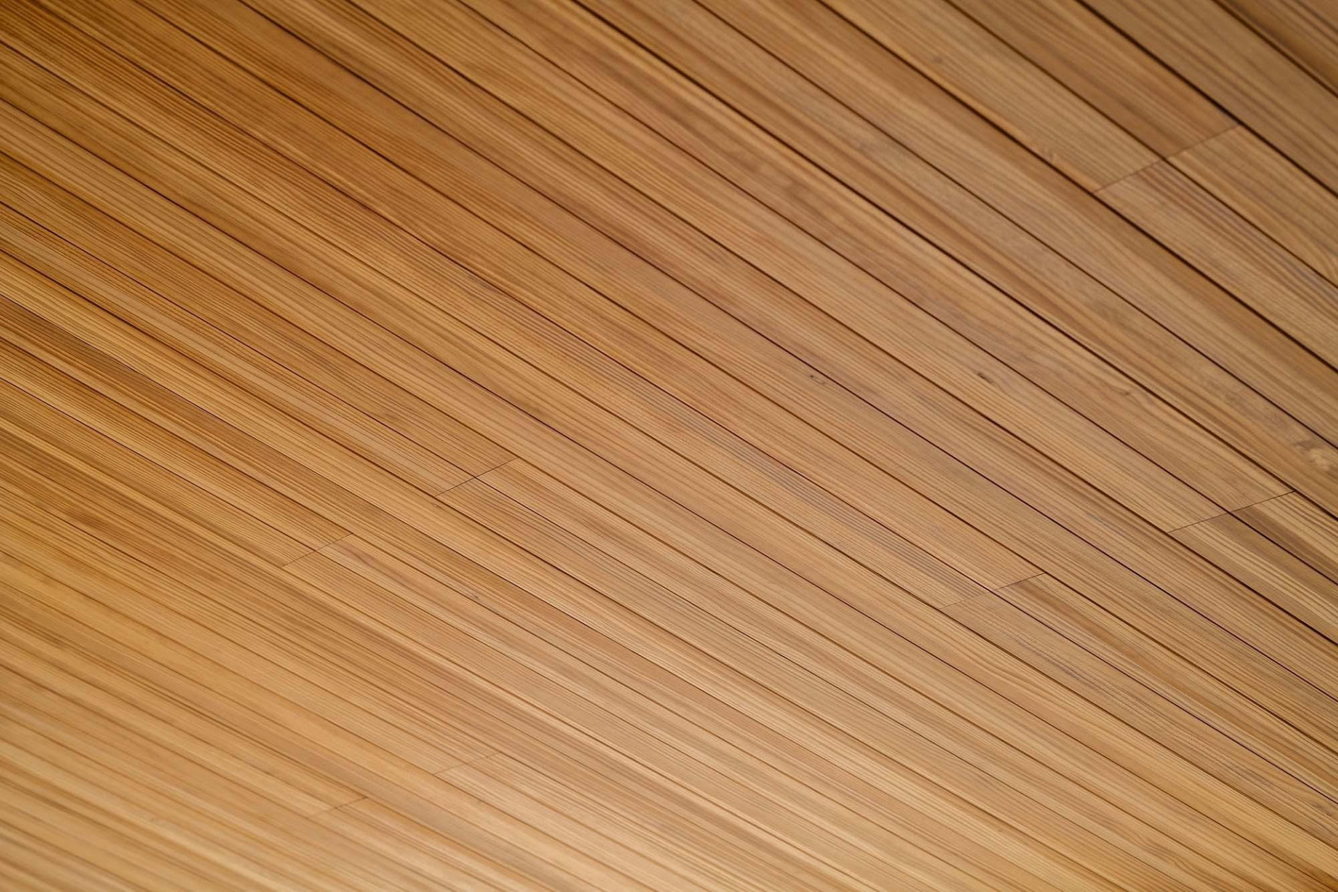 Comparing Different Coatings Across Cuts of Timber