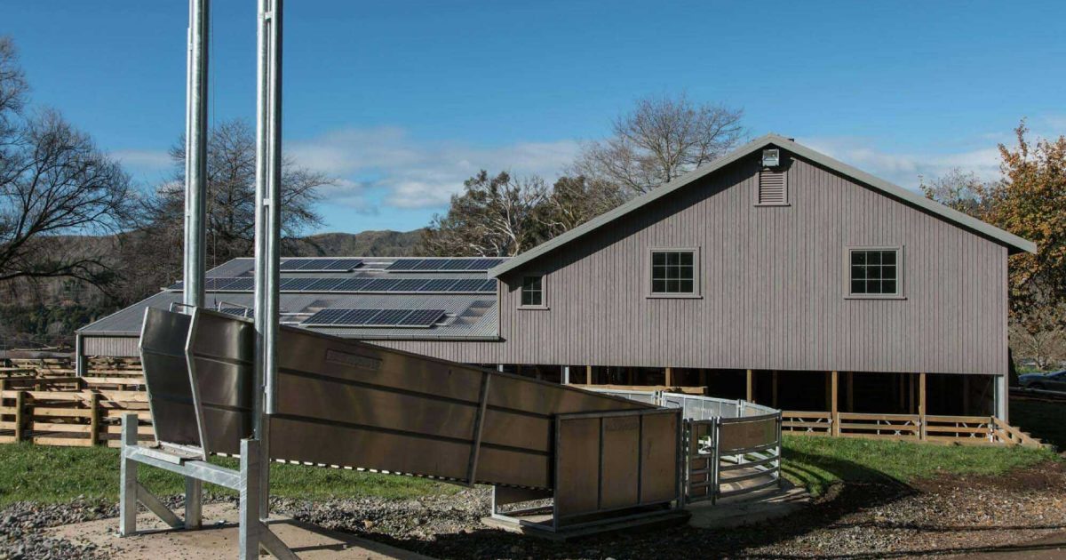 Tuki Tuki Eco Farm - Hawke's Bay, New Zealand - Abodo