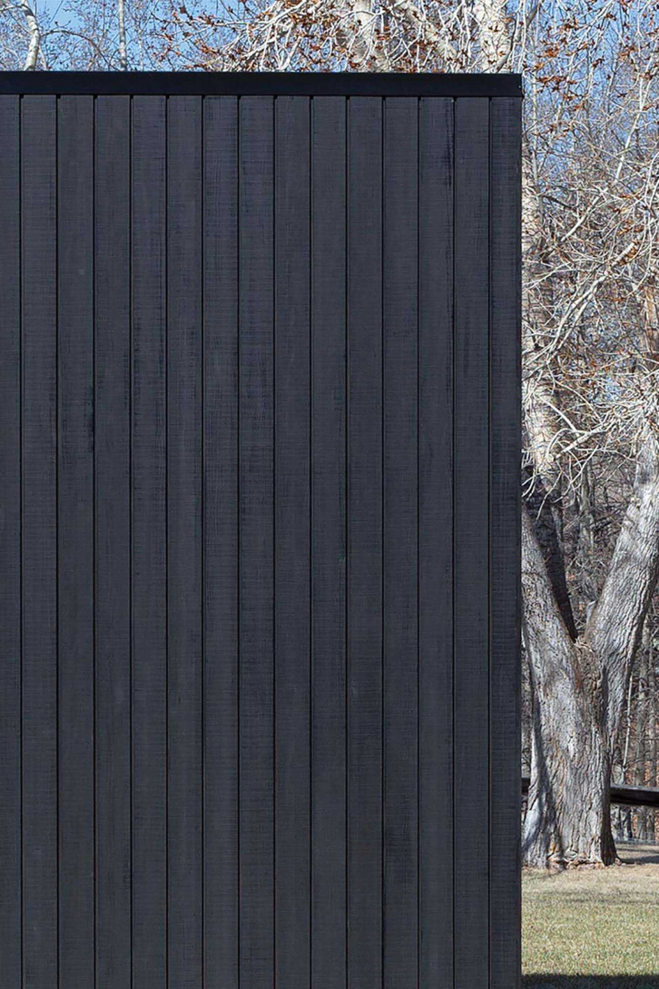 Form 001 by pre-form - Calgary, Canada - Abodo Wood | Abodo