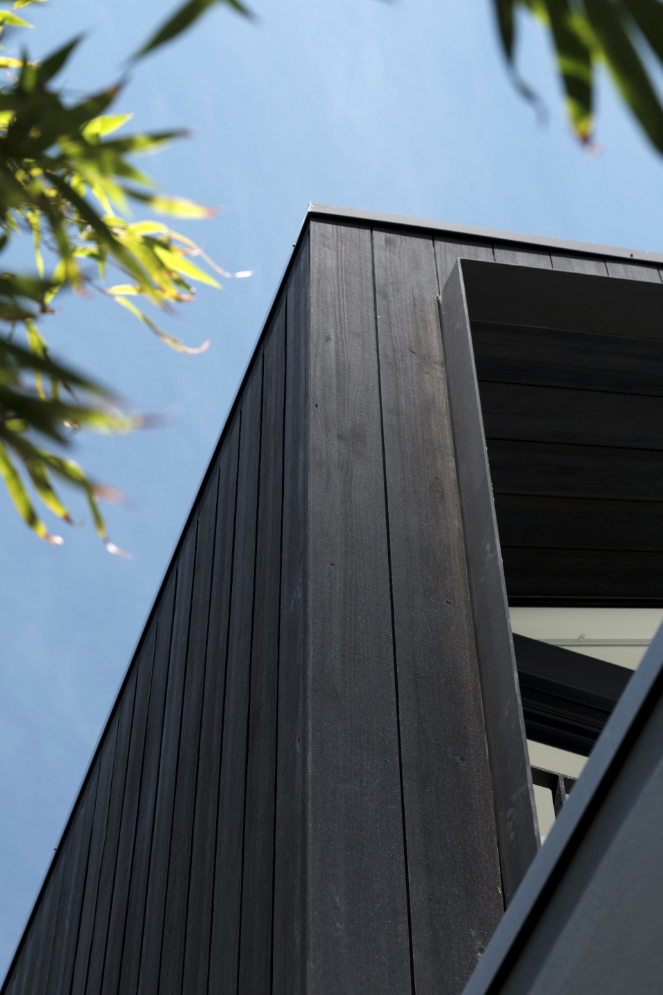 Semi Bold – Bondi, Australia | Abodo