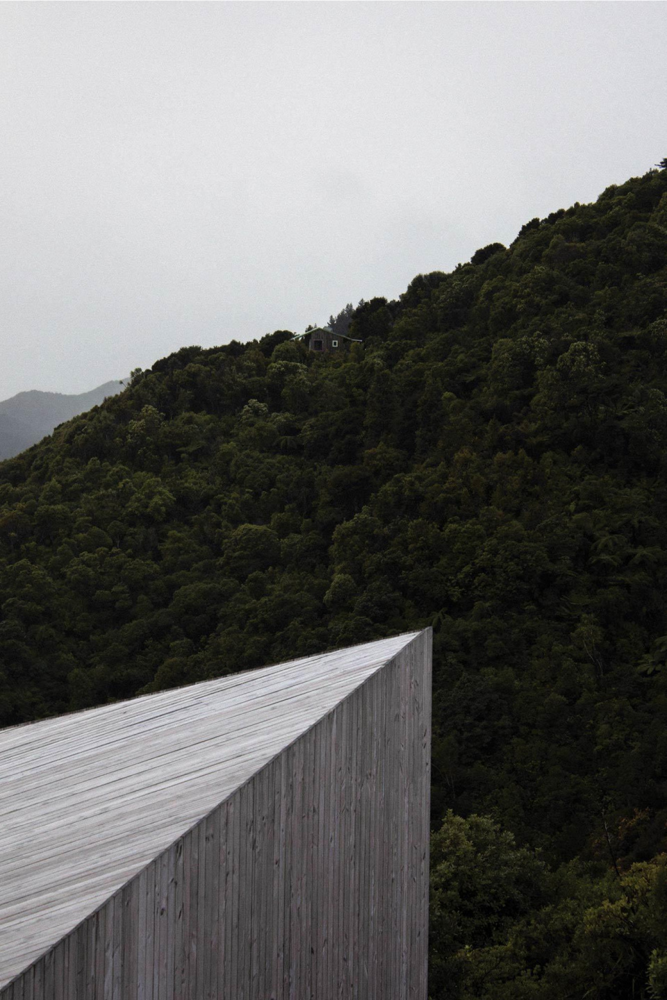 The Seagull Wing Cabin - Lower Hutt, New Zealand - Abodo Wood