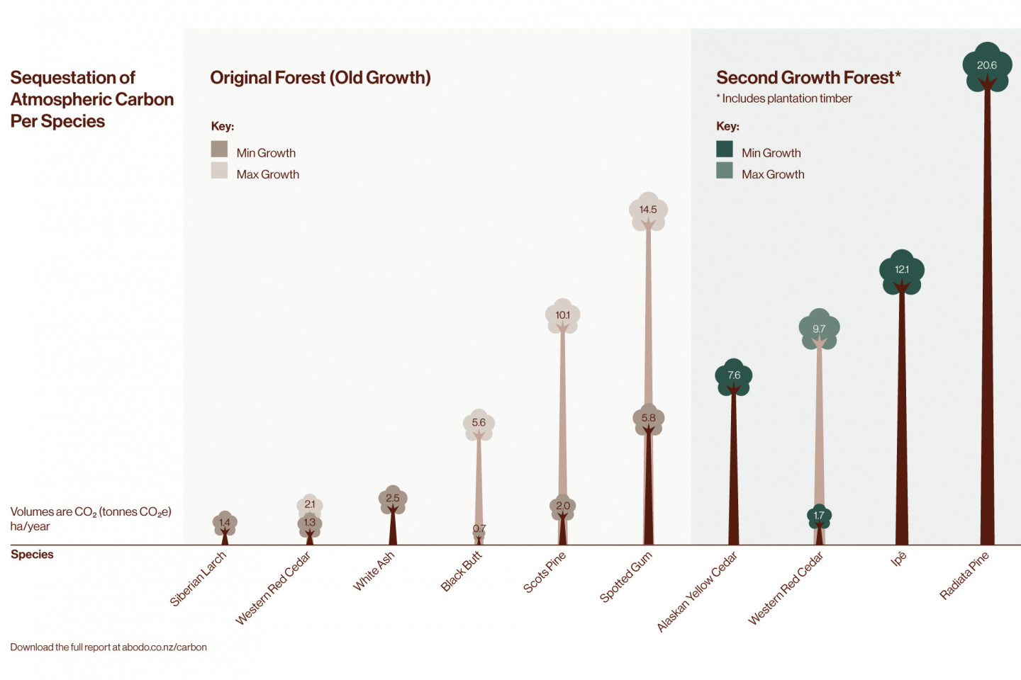 Biomass Growth and Carbon Sequestration - A Comparison of Tree Species