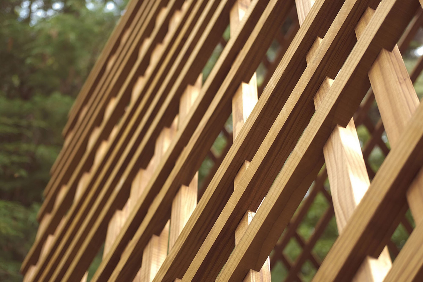 News & Updates About Abodo FSC Certified Timber Products &… | Abodo