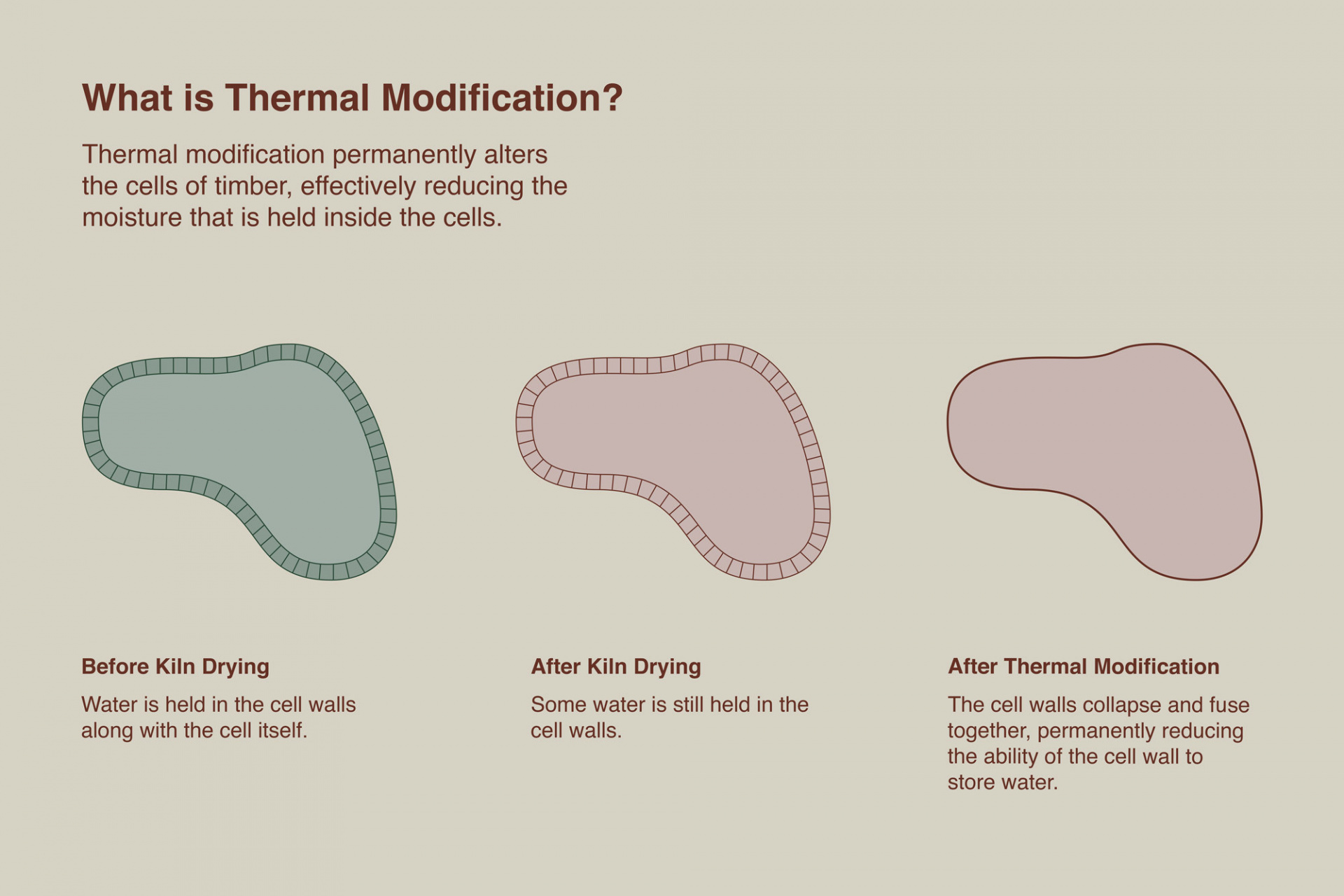 What Is Thermally Modified Wood | Abodo FSC Approved Thermo… | Abodo