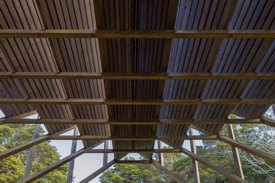 The Ongoing Teachings of Timber | Abodo