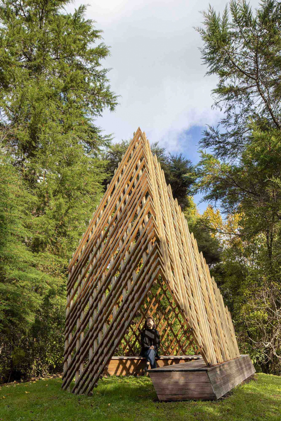 The Ongoing Teachings of Timber | Abodo