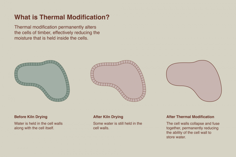 What is Thermally Modified Wood? - Abodo Wood